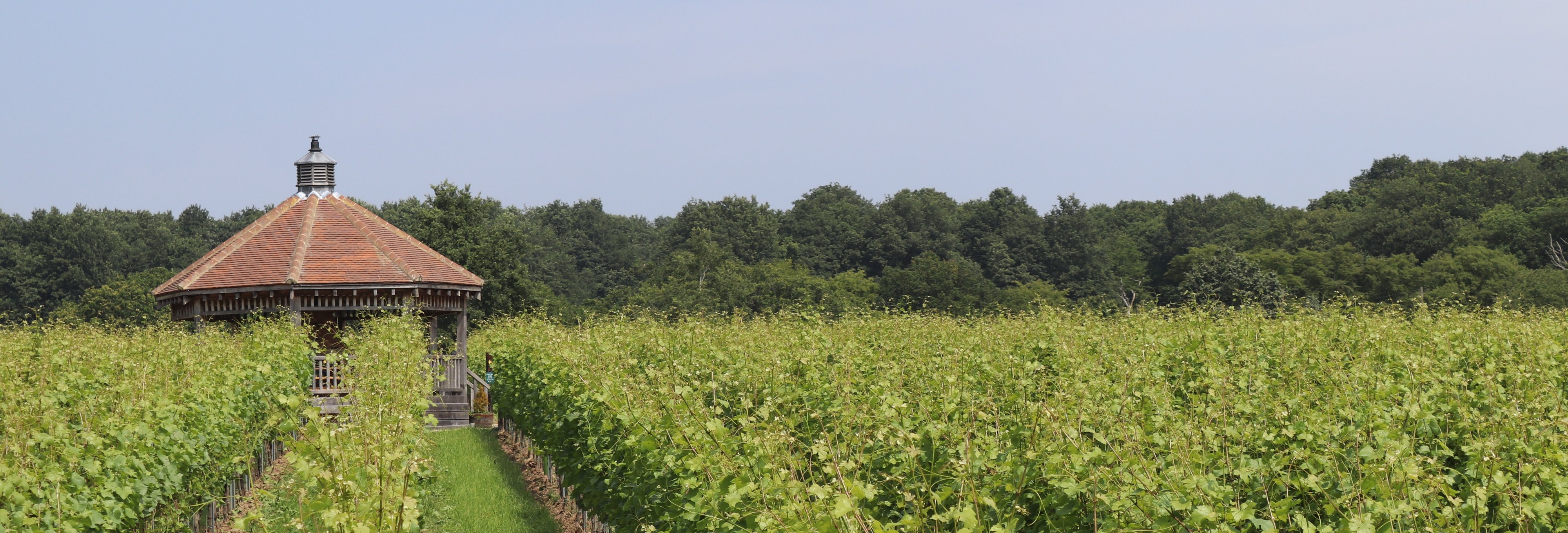 Block Wines